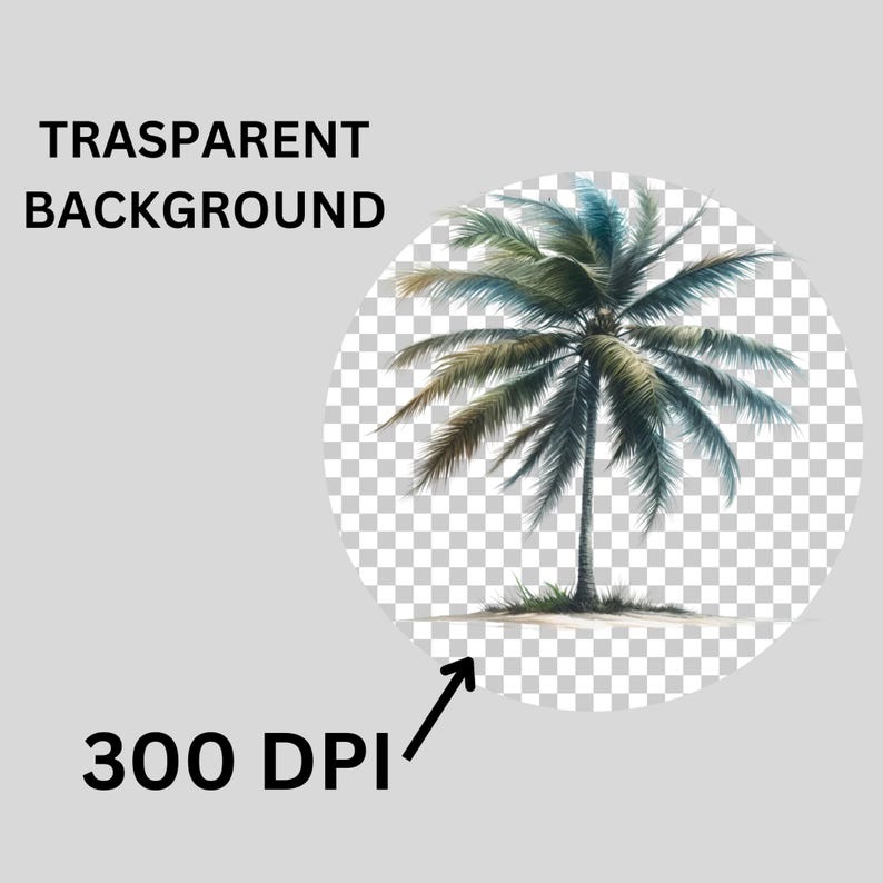 18 Palm Trees Clipart, Tropical Trees Clipart, Watercolor Palm Tree ...