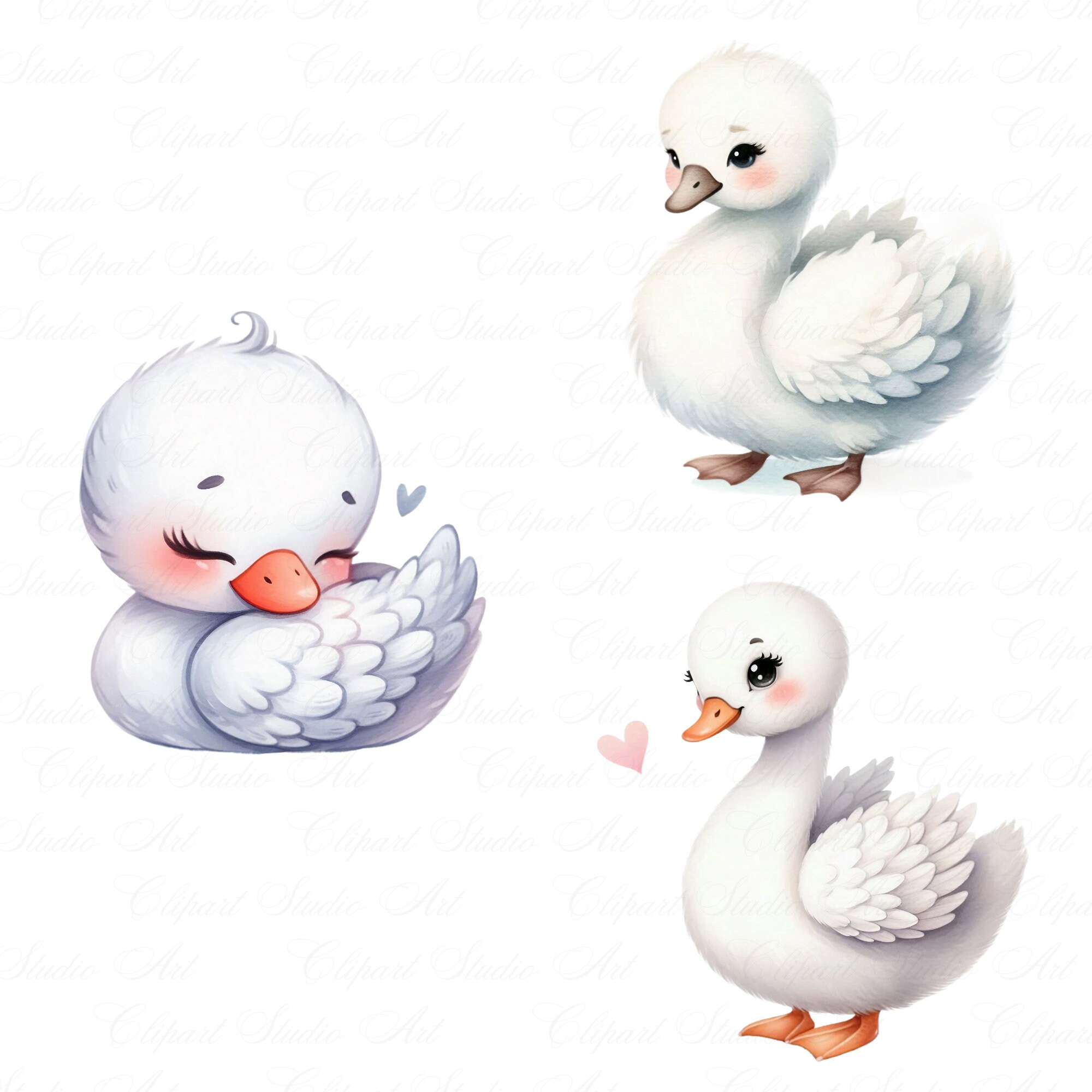 18 Cute Swans Clipart, Cute Baby Swan Clipart, Watercolor Cute Swans ...