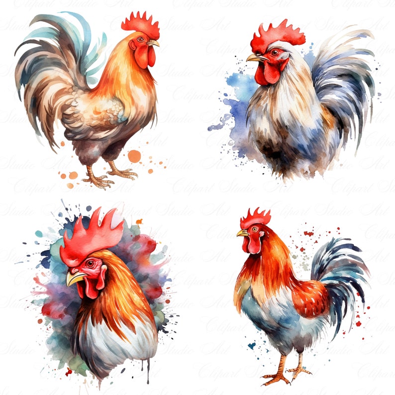 11 Cute Rooster Clipart, Farm Animals Watercolour Clipart, Cute Rooster ...