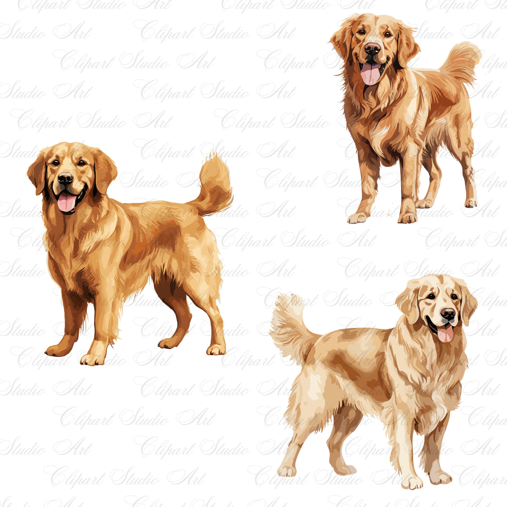 Golden Retriever Dog Clipart, Full Body Golden Retriever Dog Clipart ...