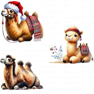 20 Cute Camel Clipart, Christmas Camel Clipart, Camel Santa Hat, Cute ...