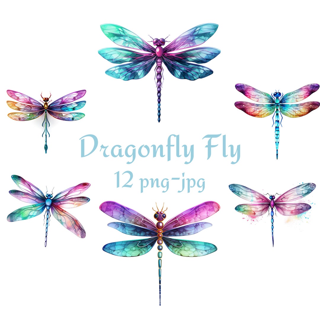 12 Dragonfly Fly Clipart, Watercolor Dragonfly Illustration Clipart ...
