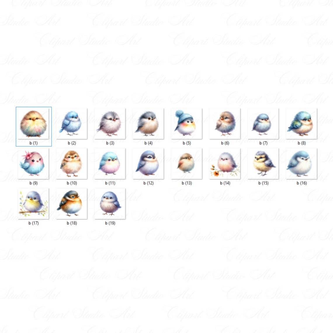 19 Cute Fluffy Birds Clipart, Funny Birds Clipart, Watercolor Cute ...
