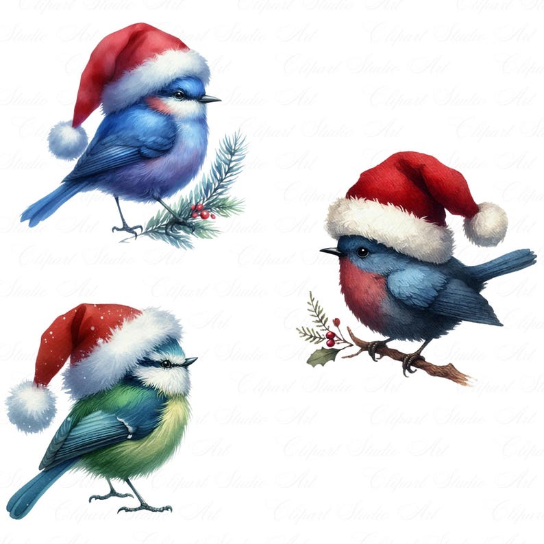 20 Christmas Cute Bird Clipart, Mystic Bird Santa Hat Watercolor ...