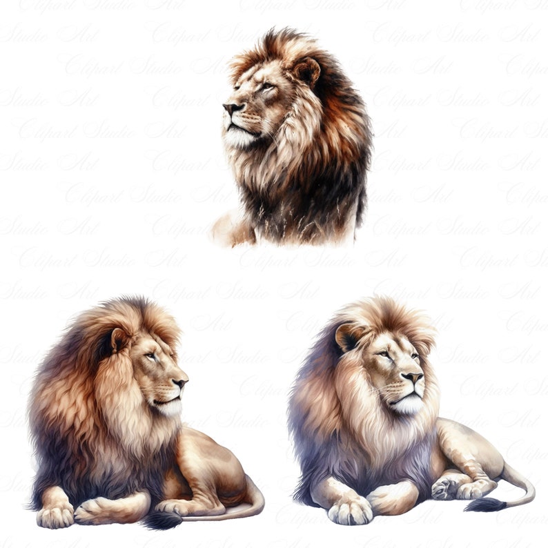 18 Lions Clipart, the Wild Nature Clipart, High Quality Watercolor ...