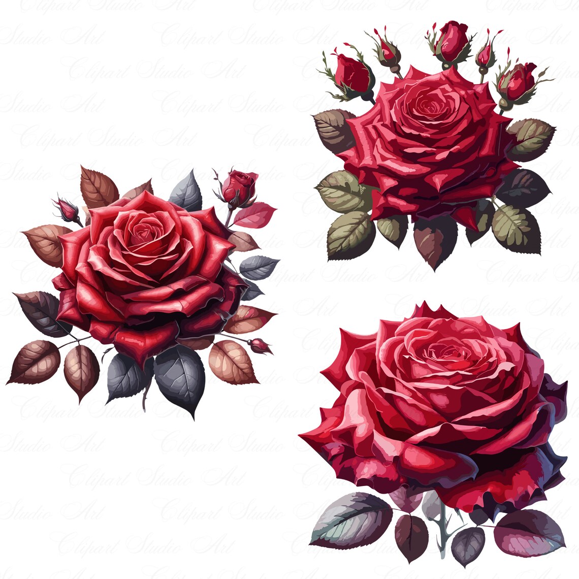 16 Valentine's Day Red Rose Watercolor Clipart, Valentine's Day Red ...