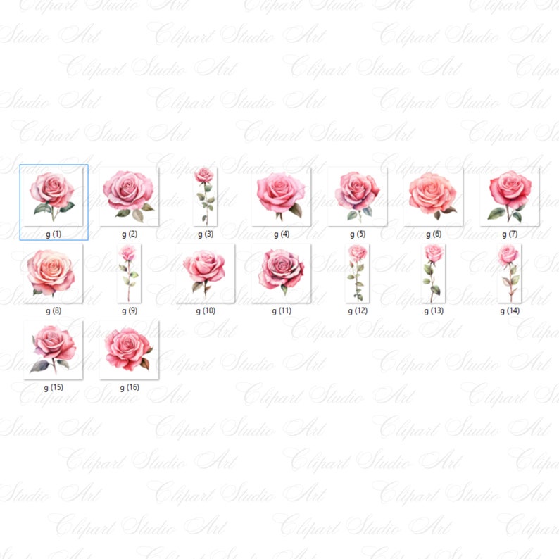 16 Pink Rose Clipart, Wedding Bridal Shower Pink Rose Flowers Clipart ...