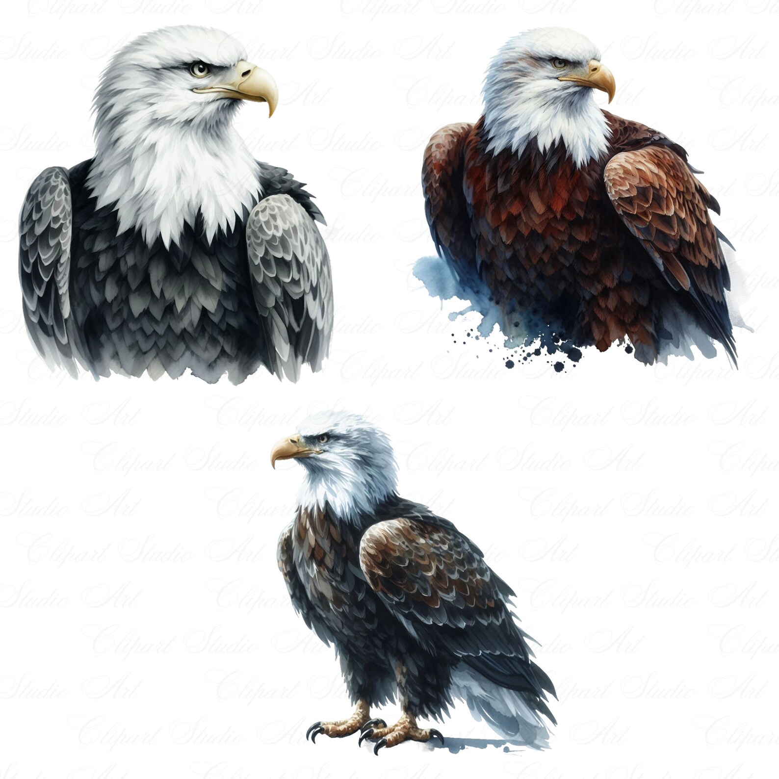 26 Eagle Clipart, High Quality Flying Eagle Clipart, Watercolor Eagle ...