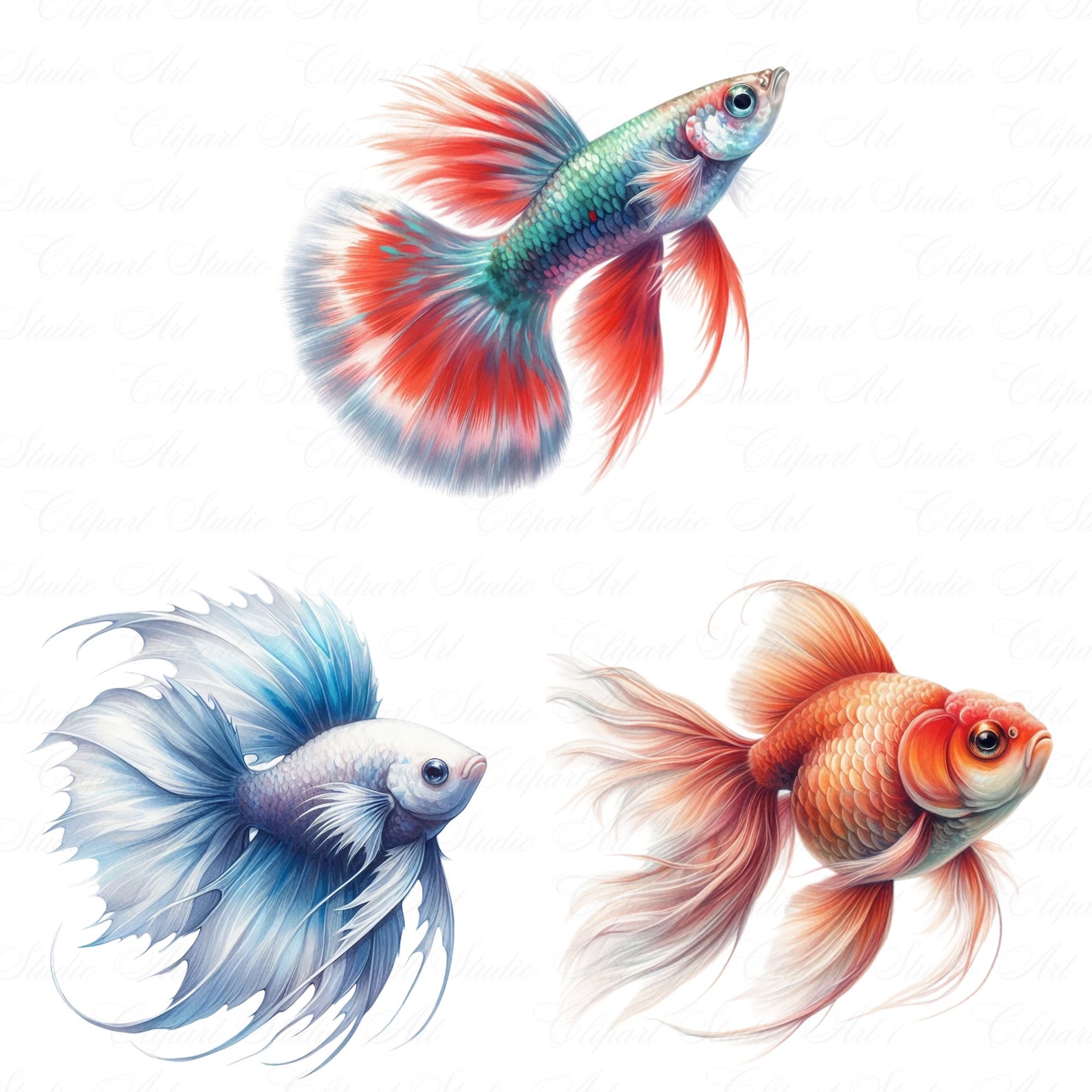18 Aquarium Fish Clipart, Colorful Fish Clipart, Watercolor Aquarium ...
