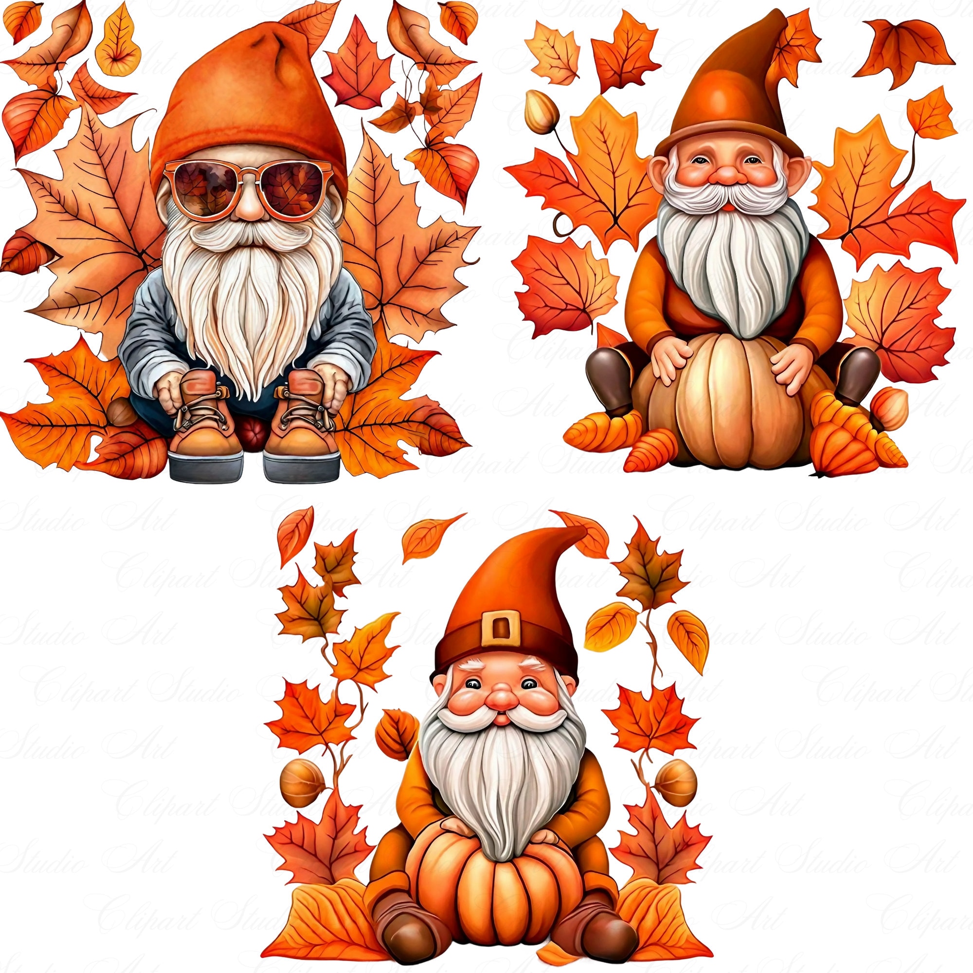 17 Cute Autumn Fall Gnome Clipart, Gnome Floral Fall Clipart, Pumpkin ...