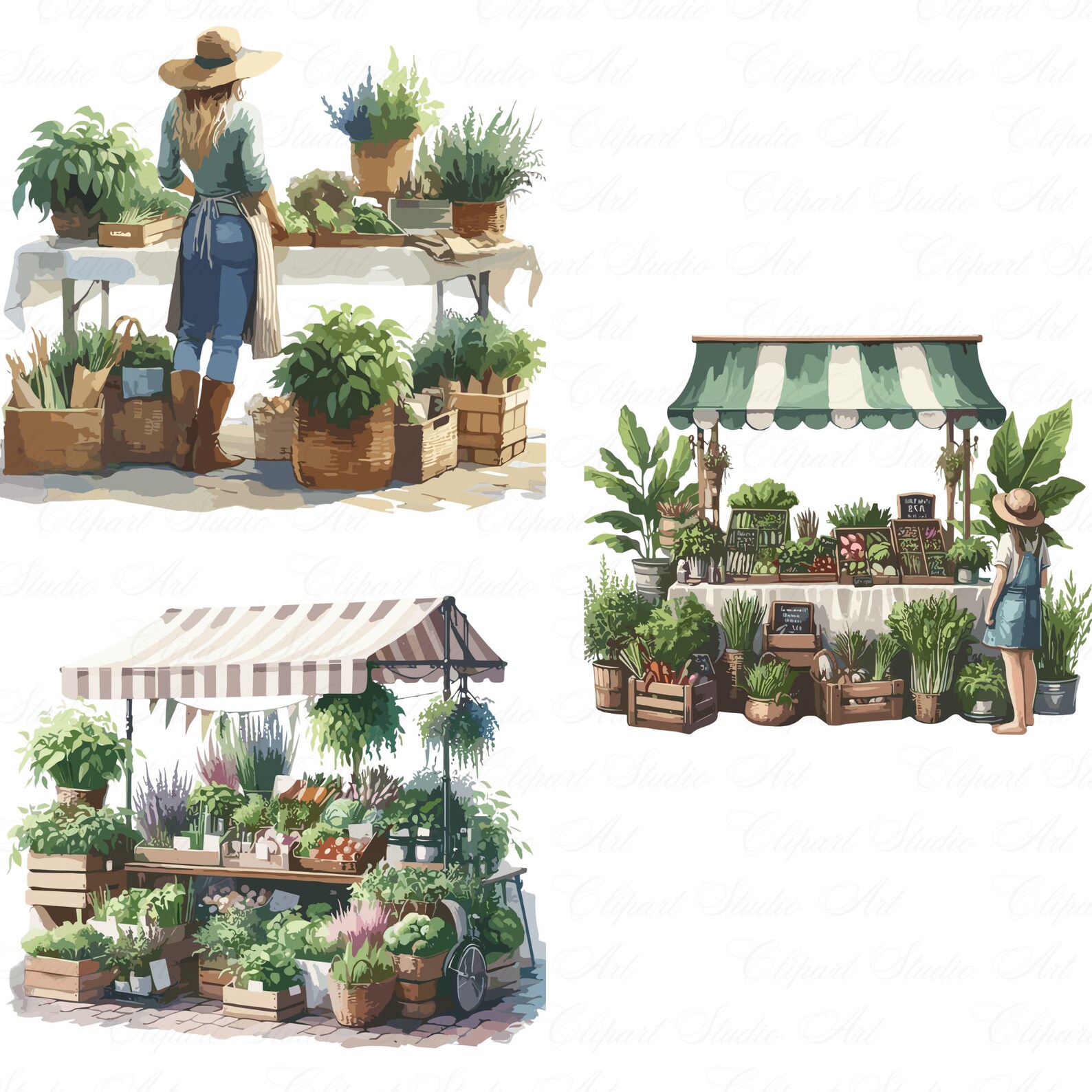 11 Farmers Market Clipart, Watercolor Herbs Stand Clip Art, Watercolor ...