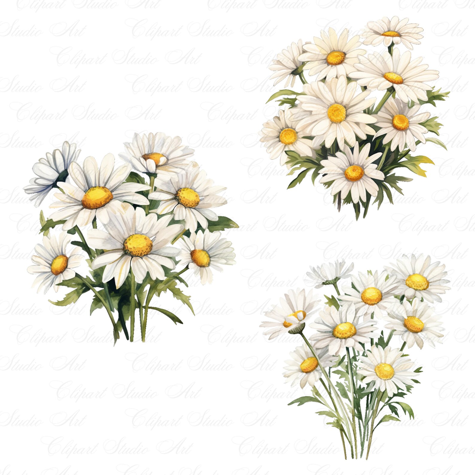 13 Daisy Flower Bouquet Clipart, Wedding Bridal Shower Daisy Flower ...