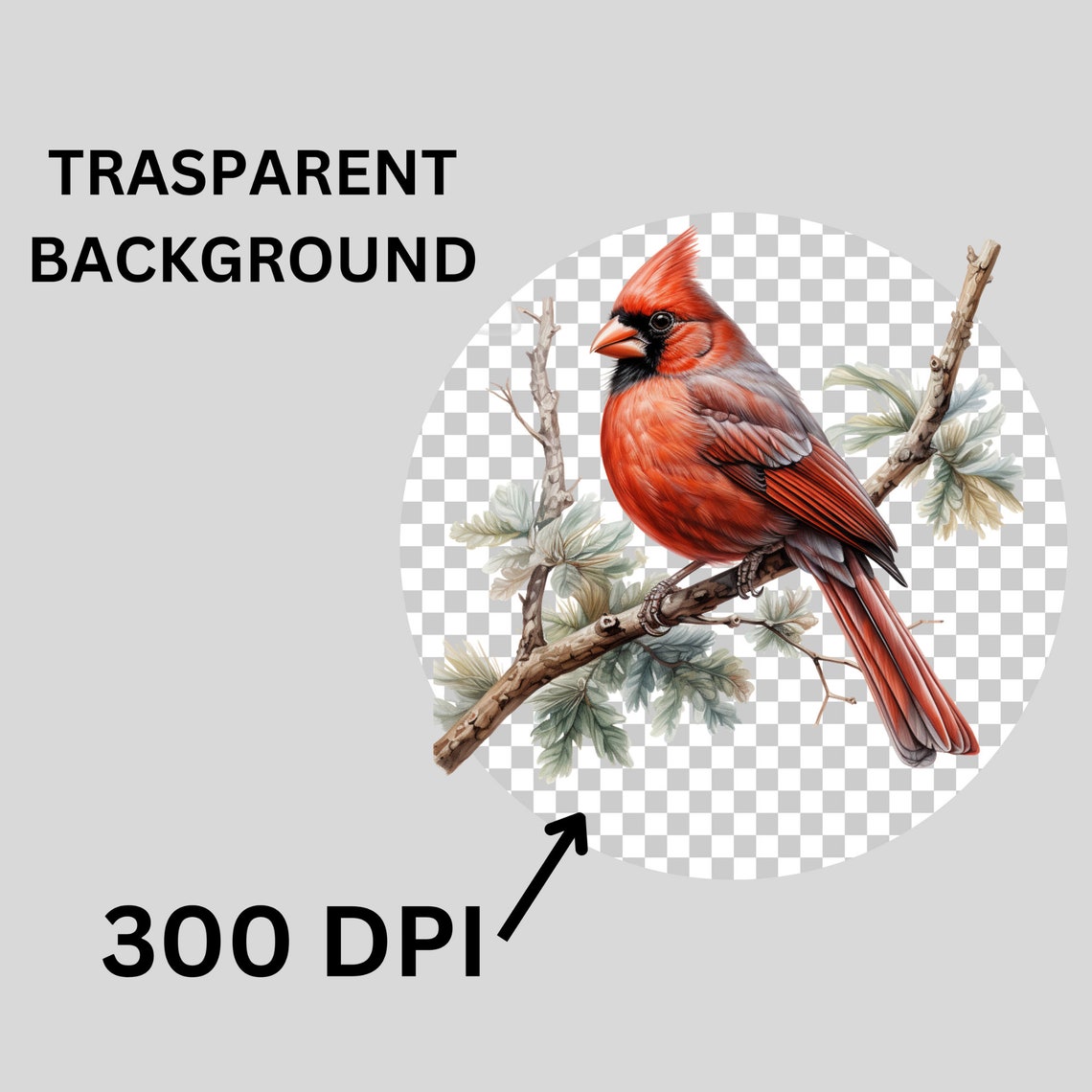 12 Cardinal Birds Watercolor Clipart, Winter Red Cardinals Birds ...