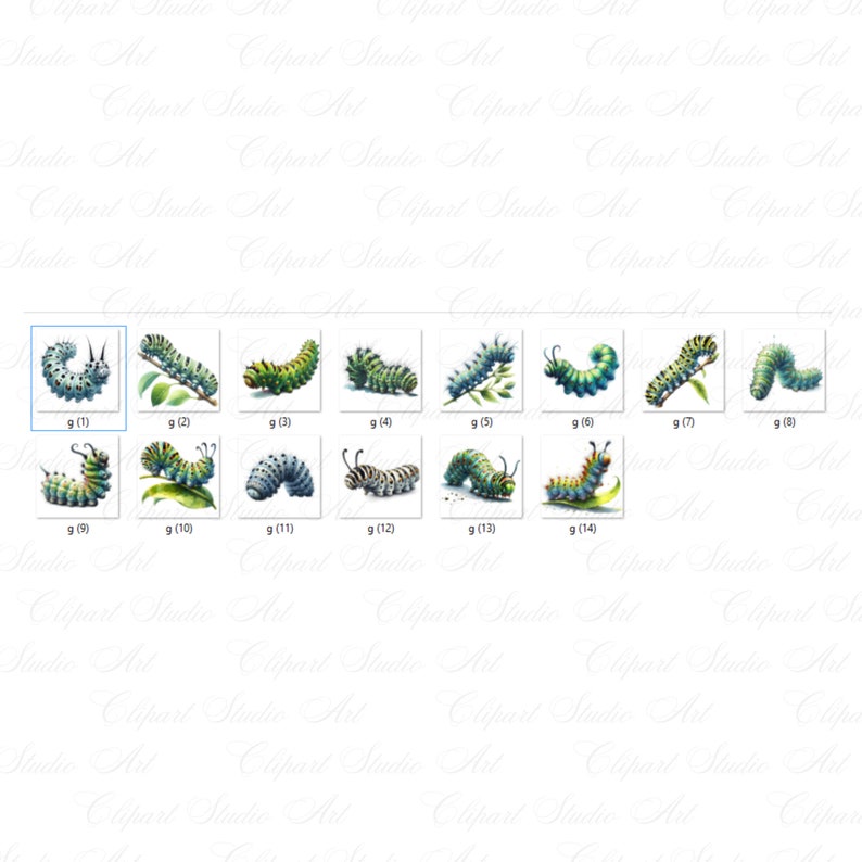 14 Colorful Caterpillars Clipart, Watercolor Spring Bug Clipart ...