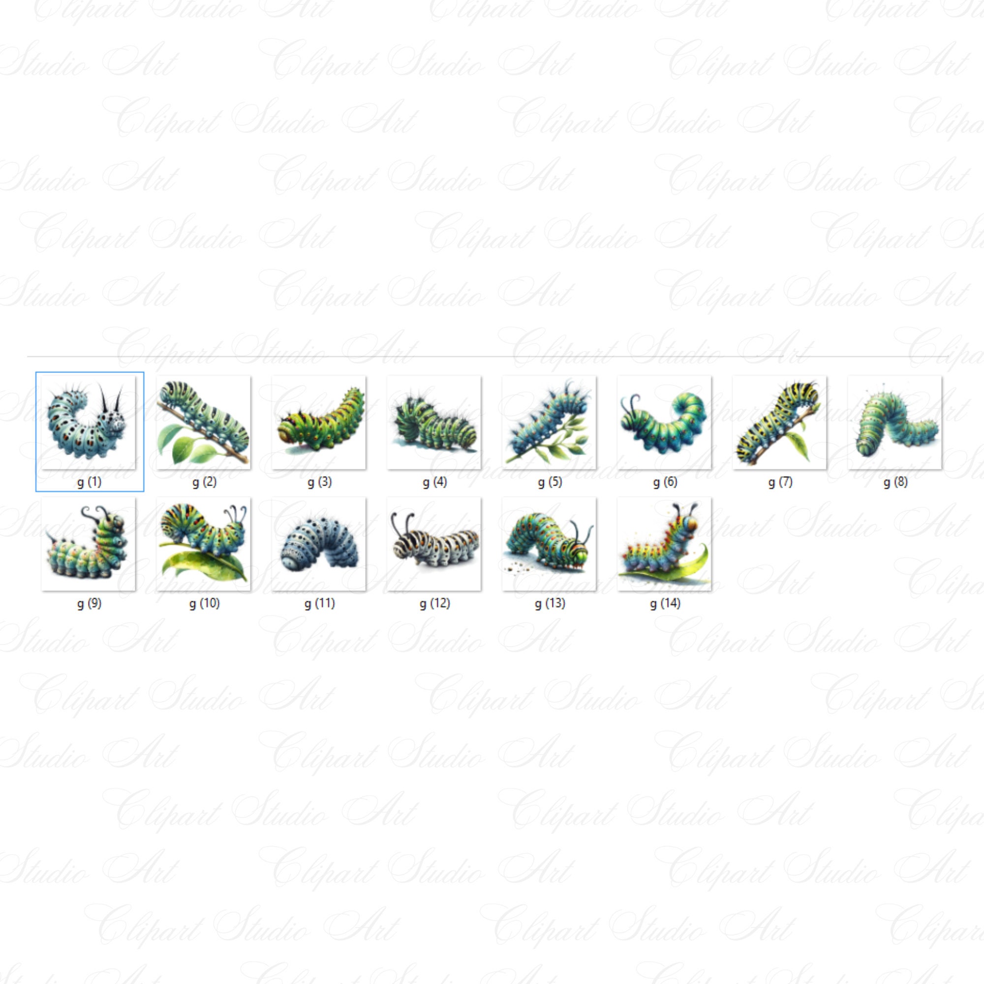 14 Colorful Caterpillars Clipart, Watercolor Spring Bug Clipart ...