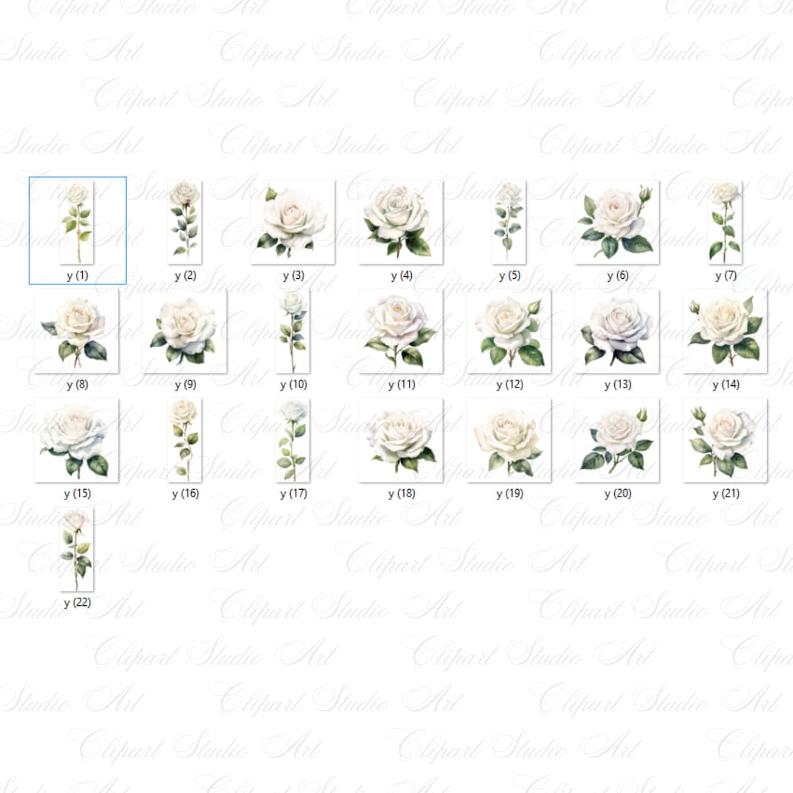 22 White Rose Clipart, Wedding Bridal Shower White Rose Flowers Clipart ...