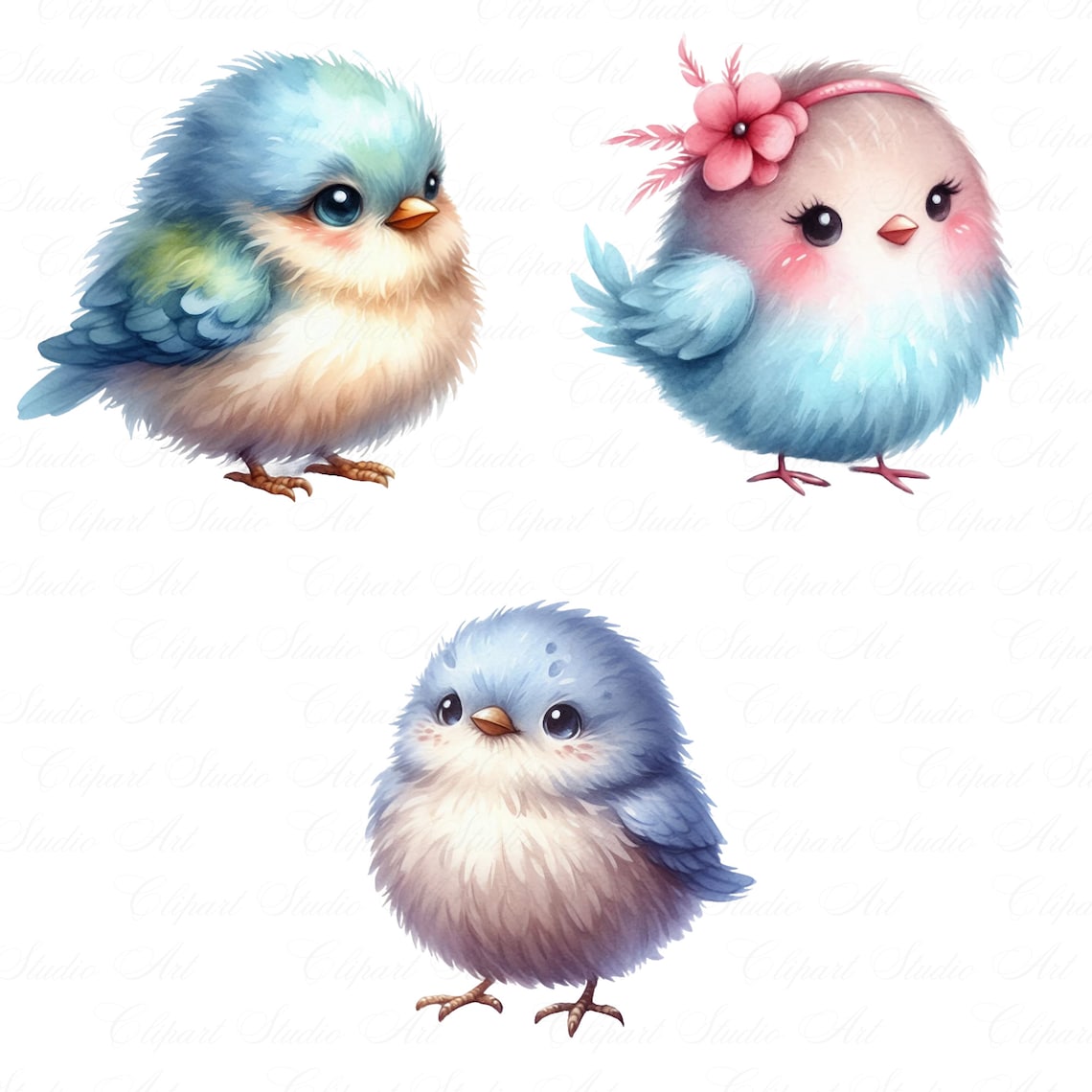 19 Cute Fluffy Birds Clipart, Funny Birds Clipart, Watercolor Cute ...