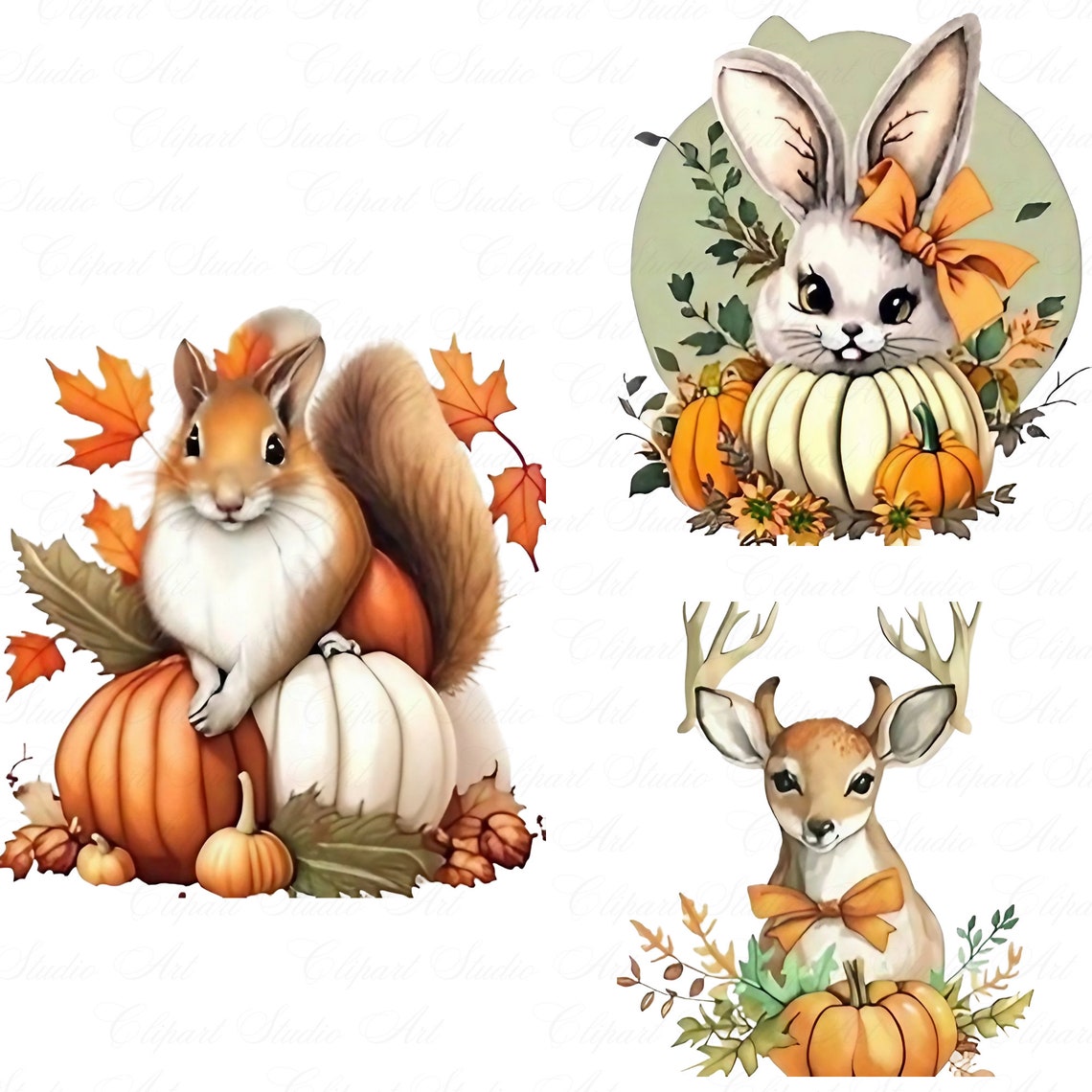 18 Jungle Animals Pumpkin Clipart, Forest Animals Pumpkins ...