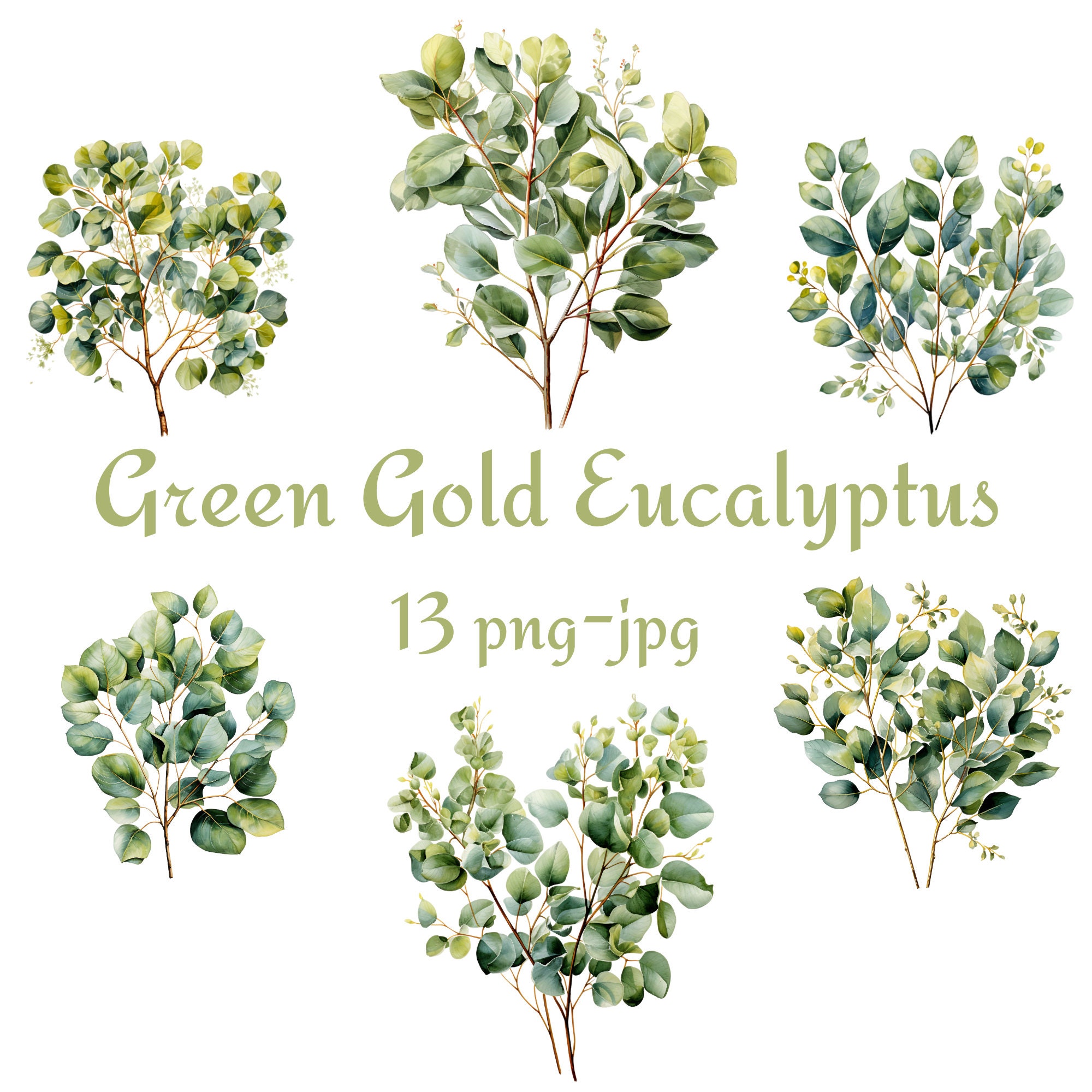 13 Green Gold Eucalyptus Clipart, Gold Eucalyptus Clipart, Watercolor ...