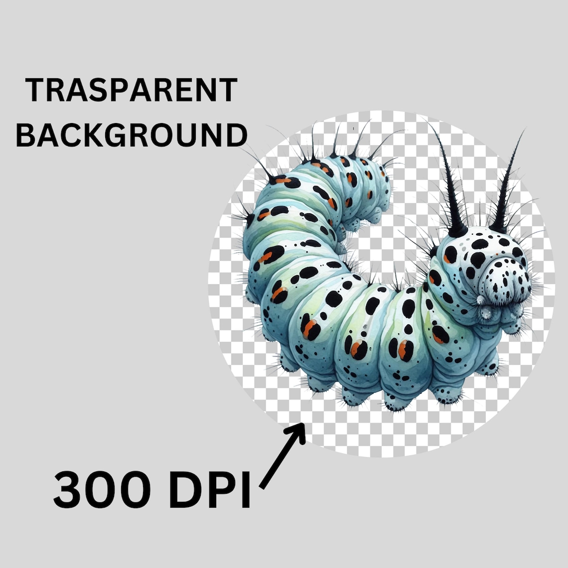 14 Colorful Caterpillars Clipart, Watercolor Spring Bug Clipart ...