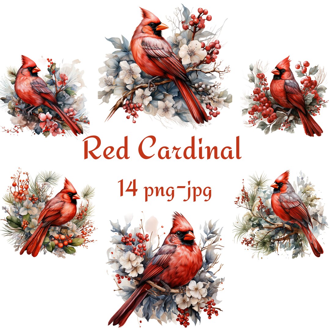 14 Red Cardinal Christmas Floral Clipart, Cardinal Birds Gift Clipart ...