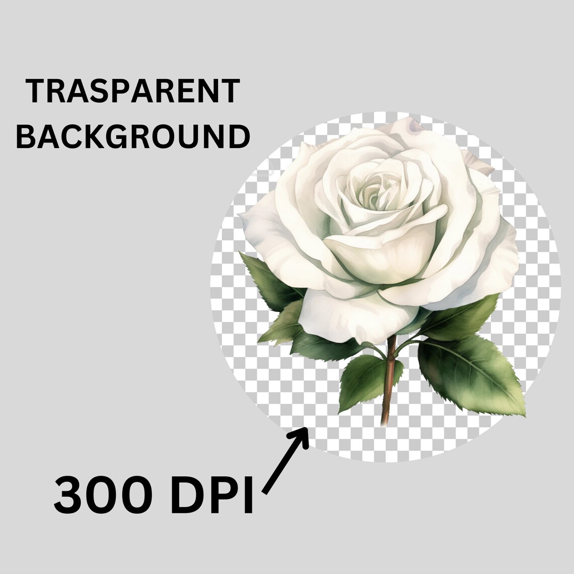 22 White Rose Clipart, Wedding Bridal Shower White Rose Flowers Clipart ...