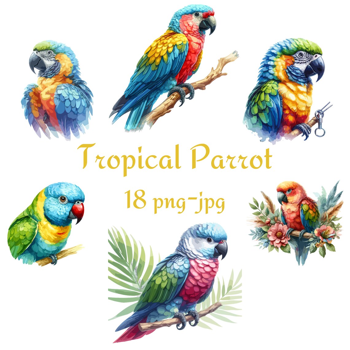 18 Tropical Parrot Clipart, Tropical Birds Exotic Parrot Clipart ...