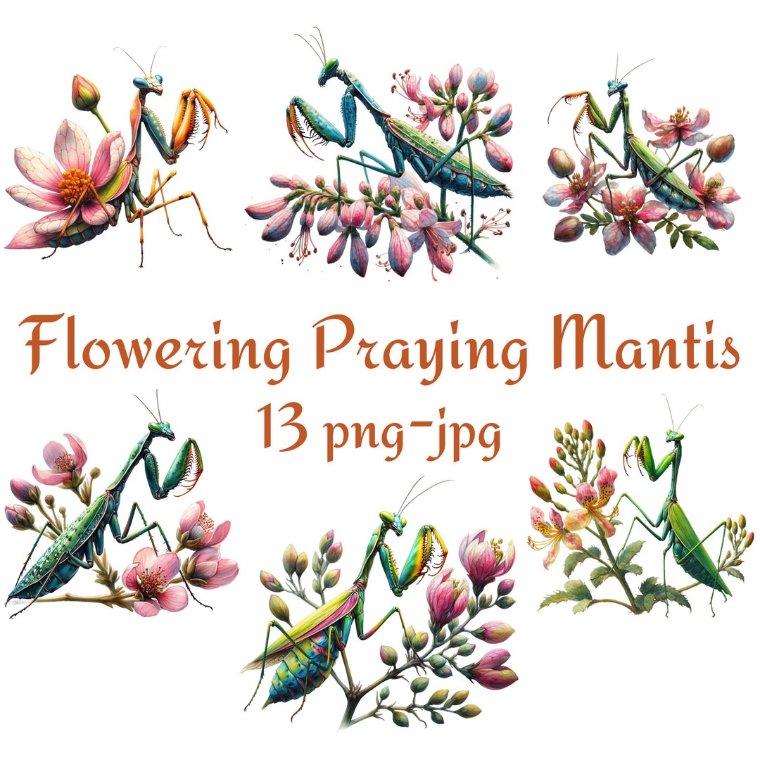 13 Flowering Praying Mantis Clipart, Praying Mantis Sublimation Clip ...