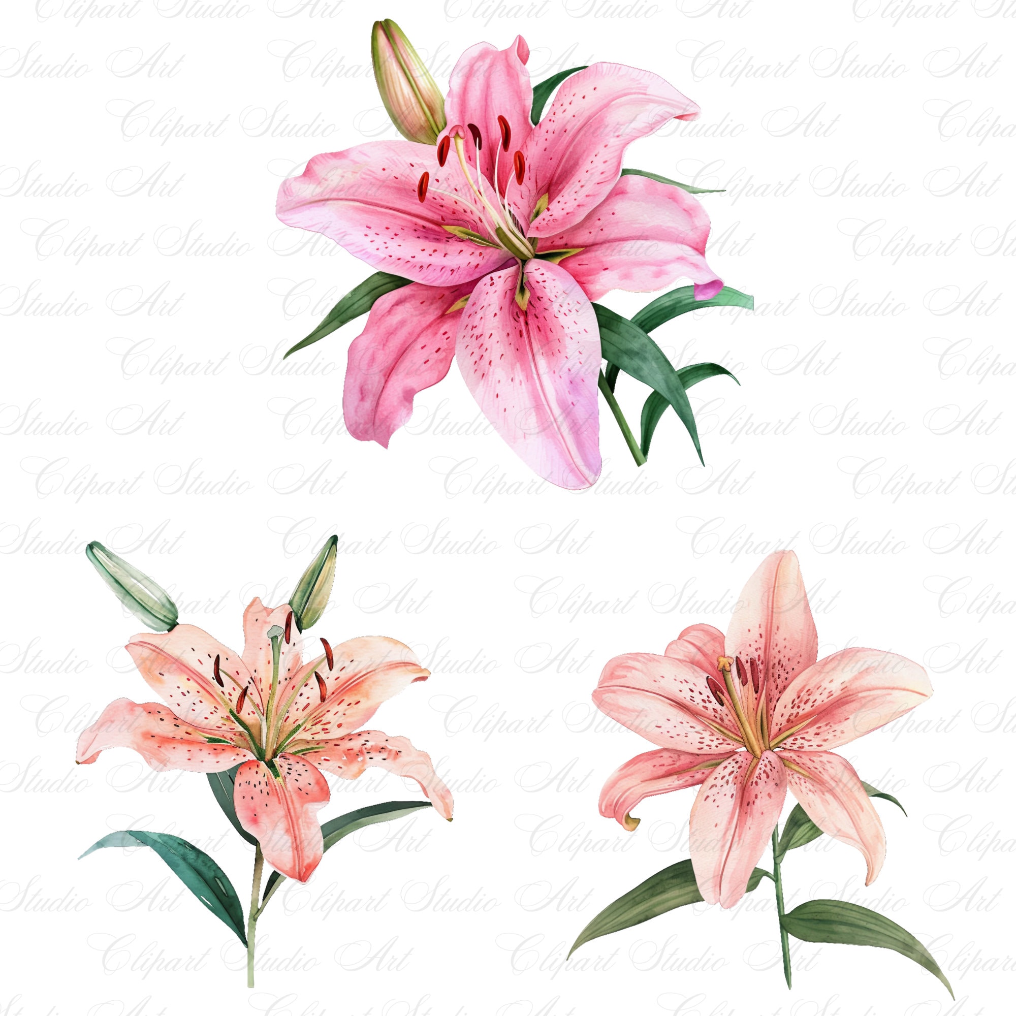 22 Pink Lily Flower Clipart, Wedding Bridal Shower Pink Lily Flower ...