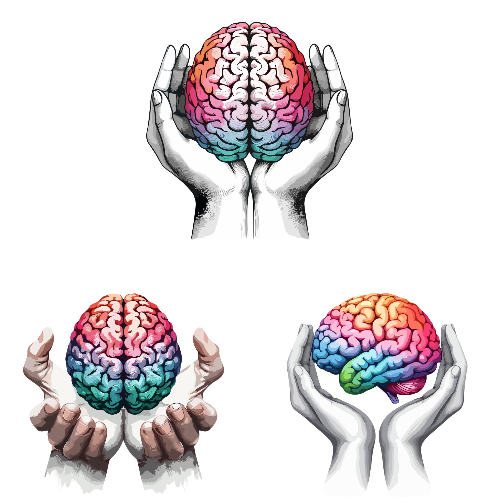 Colorful Human Brain Clipart, Brain Anatomy Graphics Clipart, Hand ...