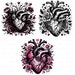 21 Gothic Anatomical Heart Clipart, Watercolor Anatomical Heart Clip ...