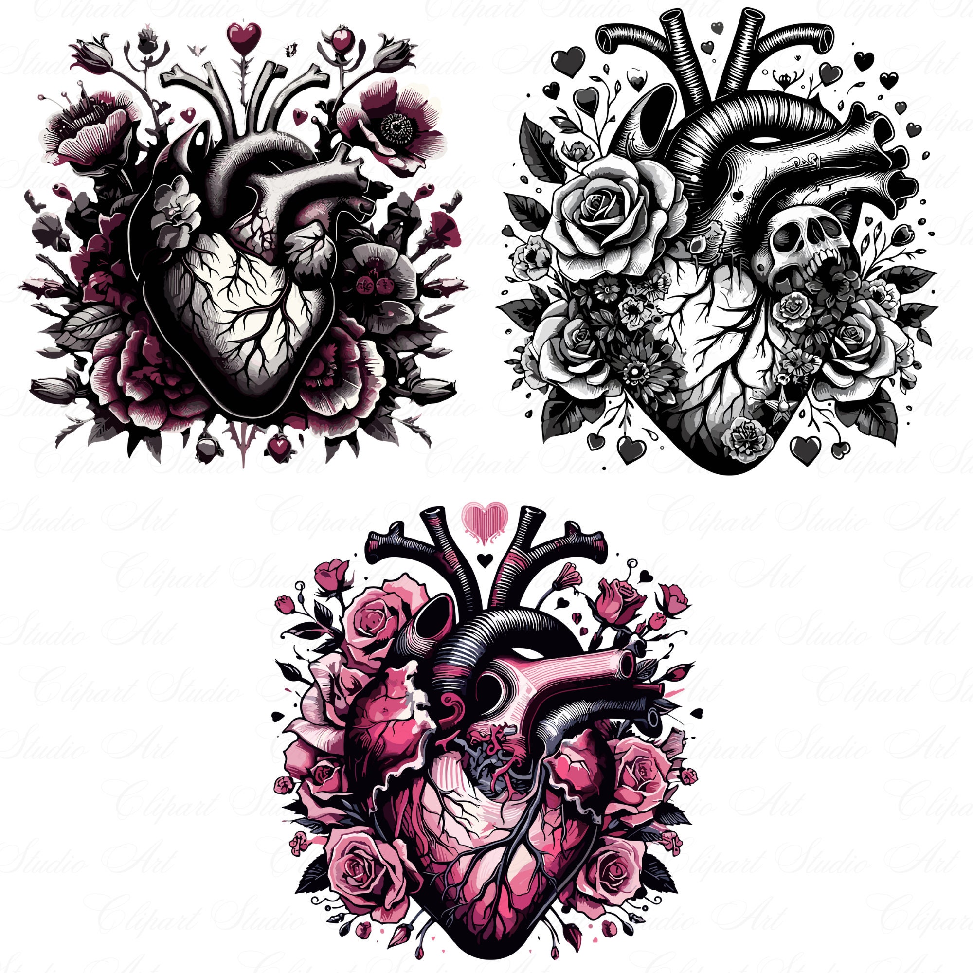 21 Gothic Anatomical Heart Clipart, Watercolor Anatomical Heart Clip ...
