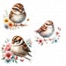 18 Cute Sparrows Clipart, Cute Sparrow With Flowers Clipart, Watercolor Cute Sparrows High ...