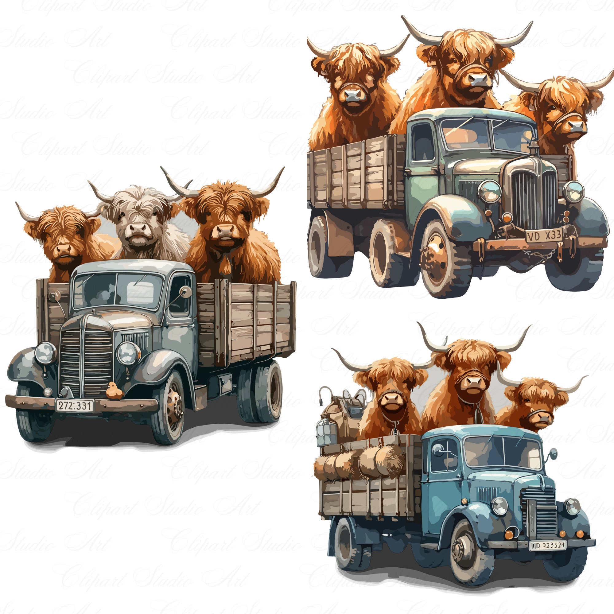 12 Farm Truck and Cows Clipart, Three Highland Cows Behind the Farm ...