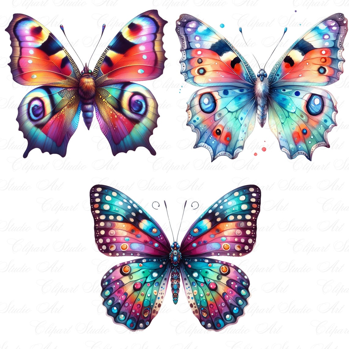 12 Colorful Butterflies Clipart, Butterfly Illustrations Clipart ...