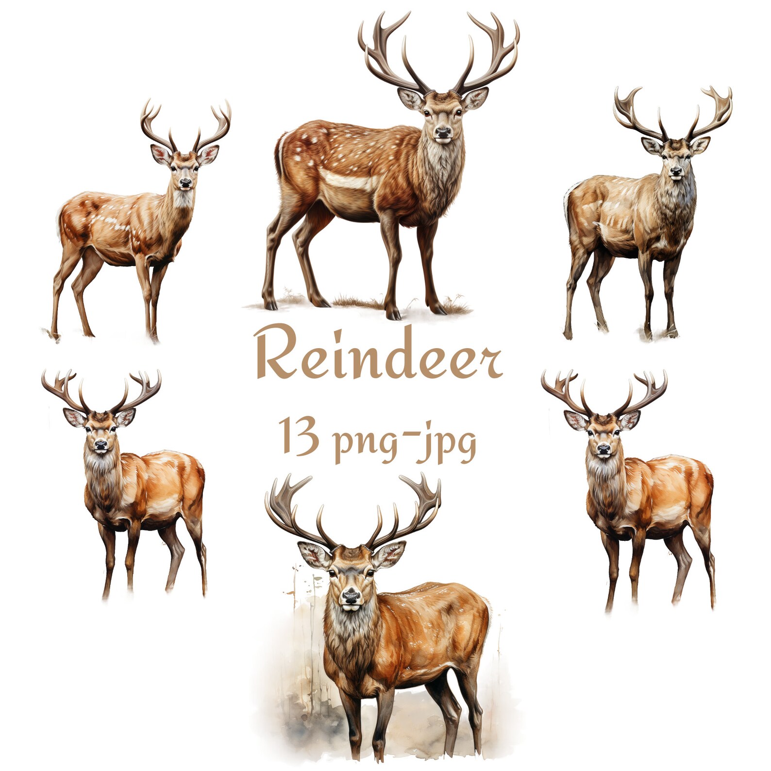 13 Reindeer Clipart. Watercolor Reindeer Clipart, Christmas Reindeer ...
