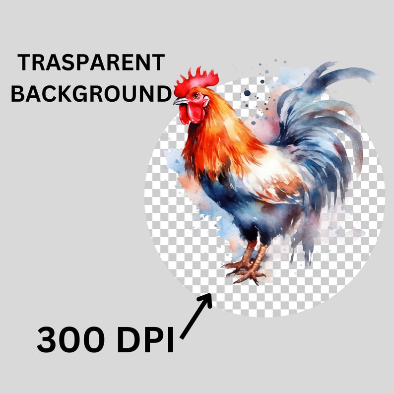 11 Cute Rooster Clipart, Farm Animals Watercolour Clipart, Cute Rooster ...