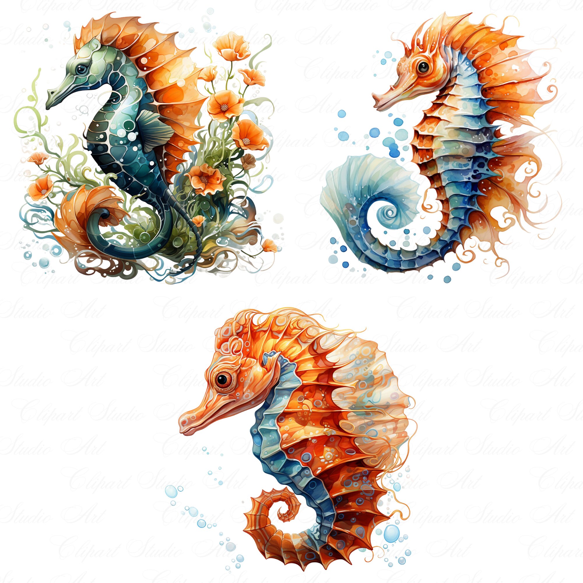 12 Seahorses Watercolour Clipart, Cute Nautical Ocean Animals Clipart ...