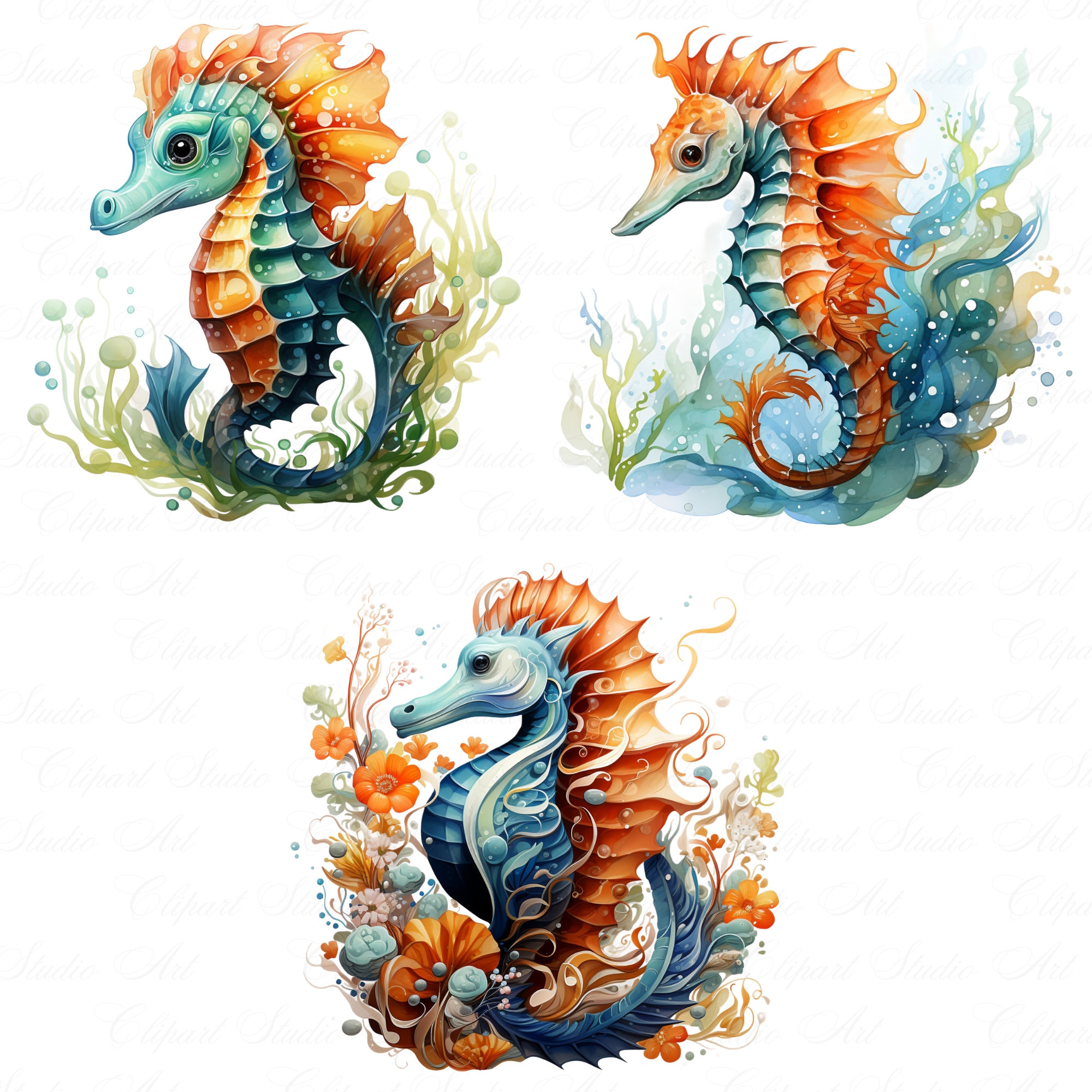 12 Seahorses Watercolour Clipart, Cute Nautical Ocean Animals Clipart ...