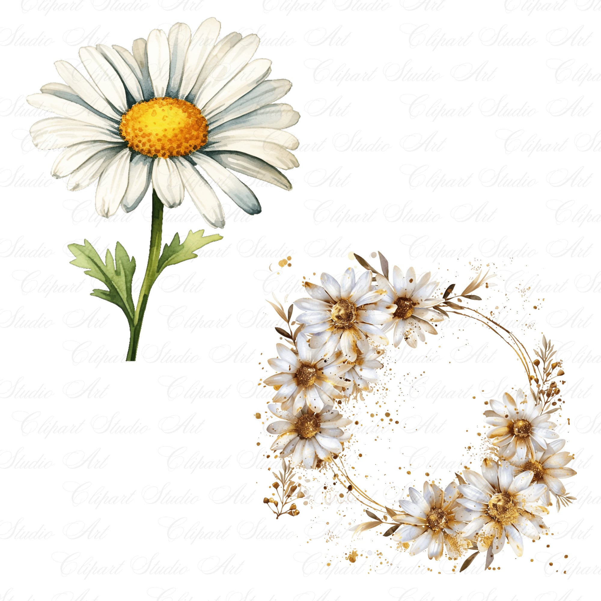 76 Daisy Flower Bundle Clipart, Daisy Basket, Daisy Bouquet, Daisy ...