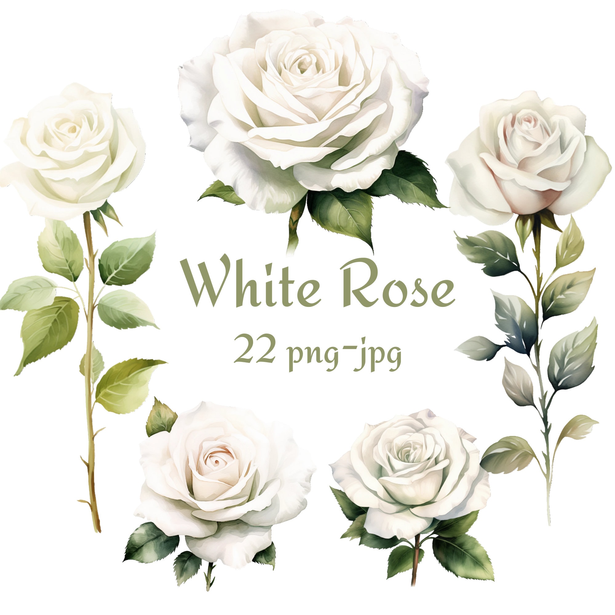 22 White Rose Clipart, Wedding Bridal Shower White Rose Flowers Clipart ...