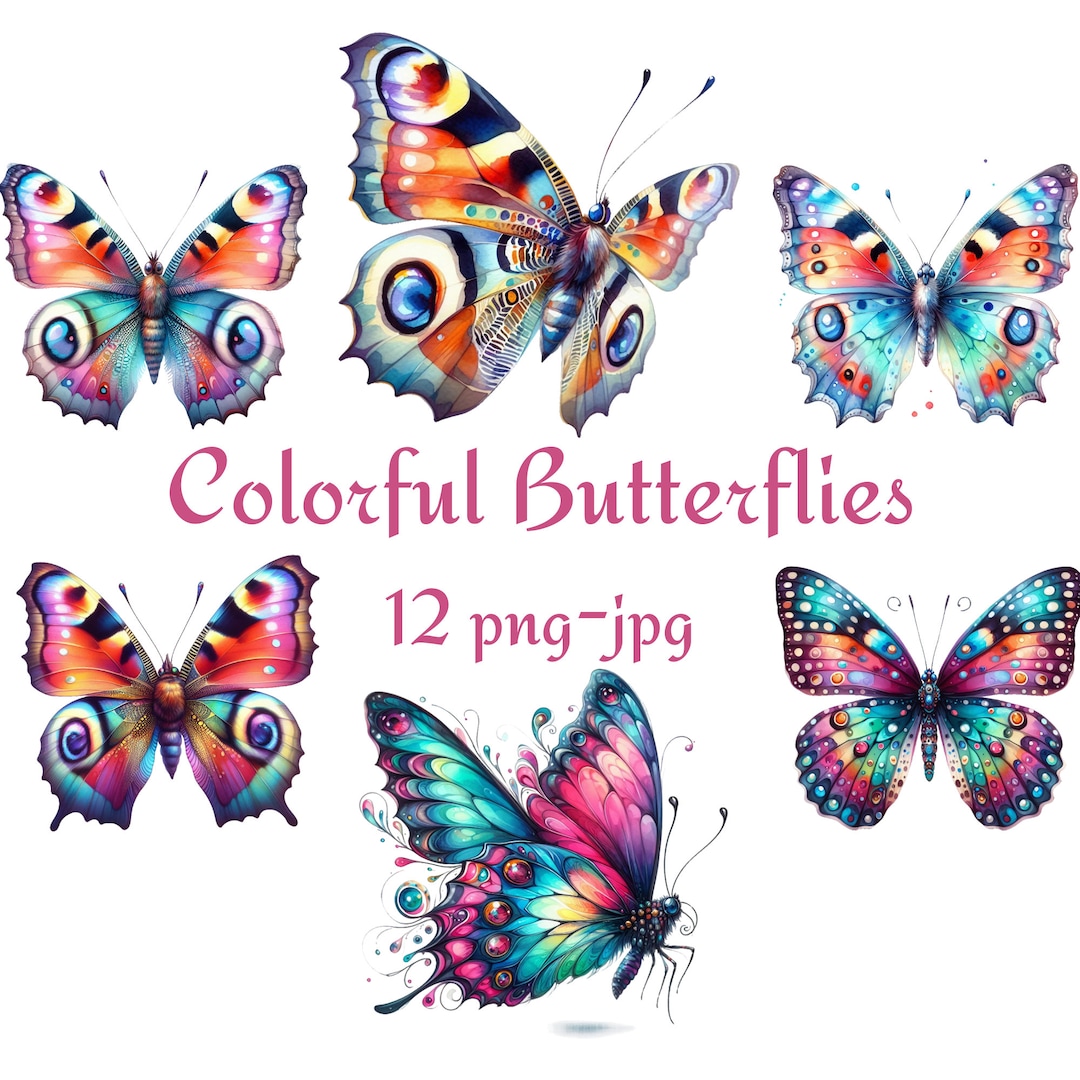 12 Colorful Butterflies Clipart, Butterfly Illustrations Clipart ...