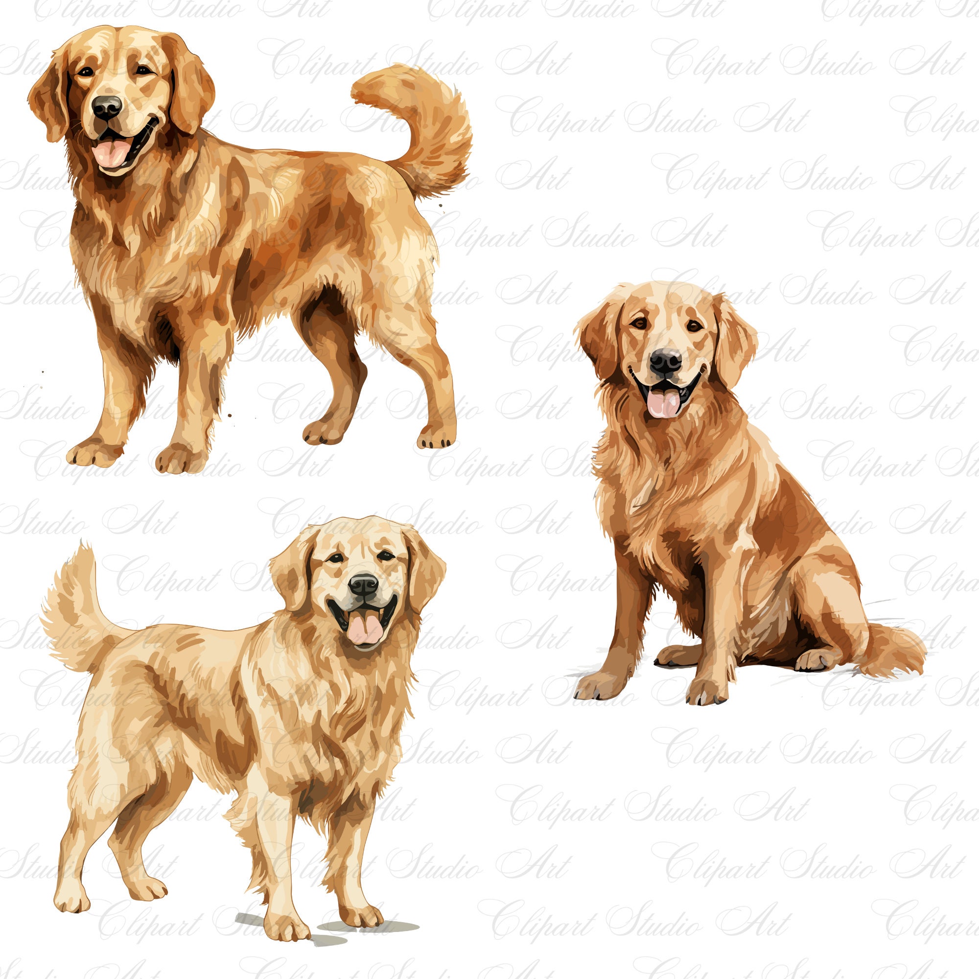 Golden Retriever Dog Clipart, Full Body Golden Retriever Dog Clipart ...