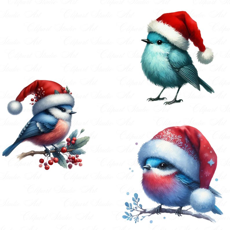 20 Christmas Cute Bird Clipart, Mystic Bird Santa Hat Watercolor ...