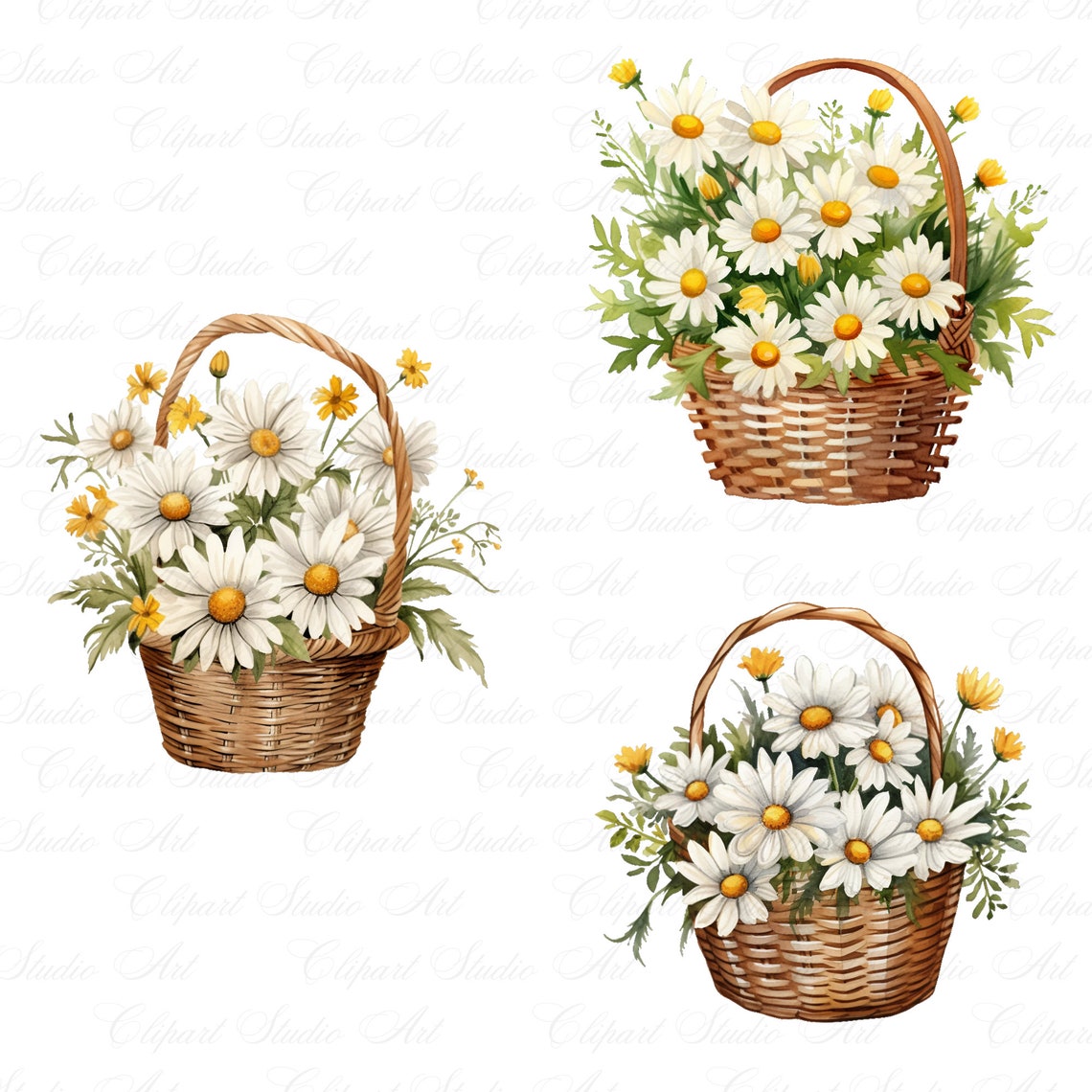 13 Daisy Flower Basket Clipart, Wedding Bridal Shower Daisy Flower Basket Clipart, Watercolor ...