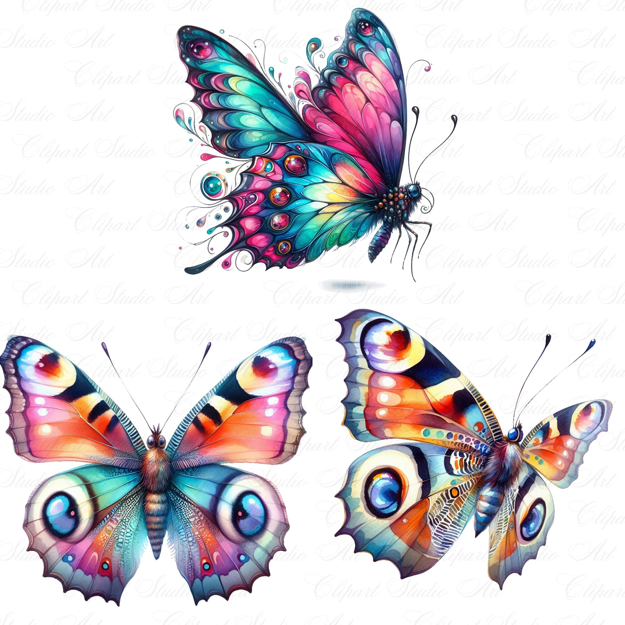 12 Colorful Butterflies Clipart, Butterfly Illustrations Clipart ...