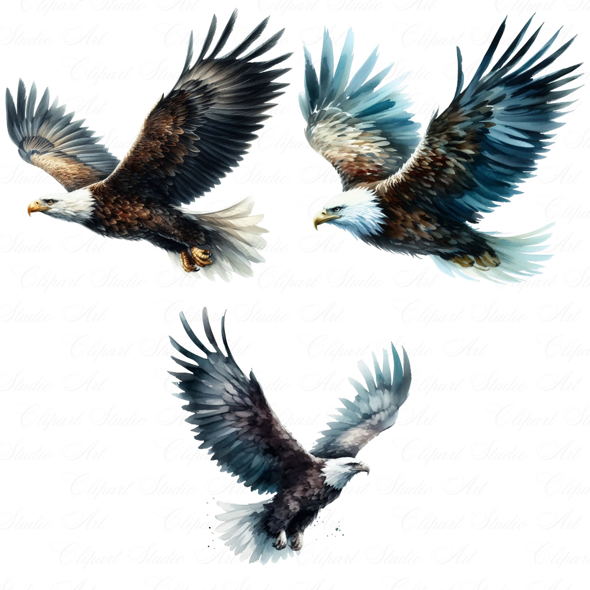 26 Eagle Clipart, High Quality Flying Eagle Clipart, Watercolor Eagle Transparent Background 300 ...