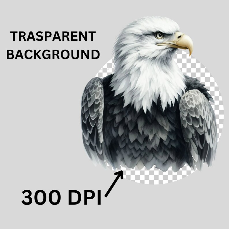 26 Eagle Clipart, High Quality Flying Eagle Clipart, Watercolor Eagle Transparent Background 300 ...