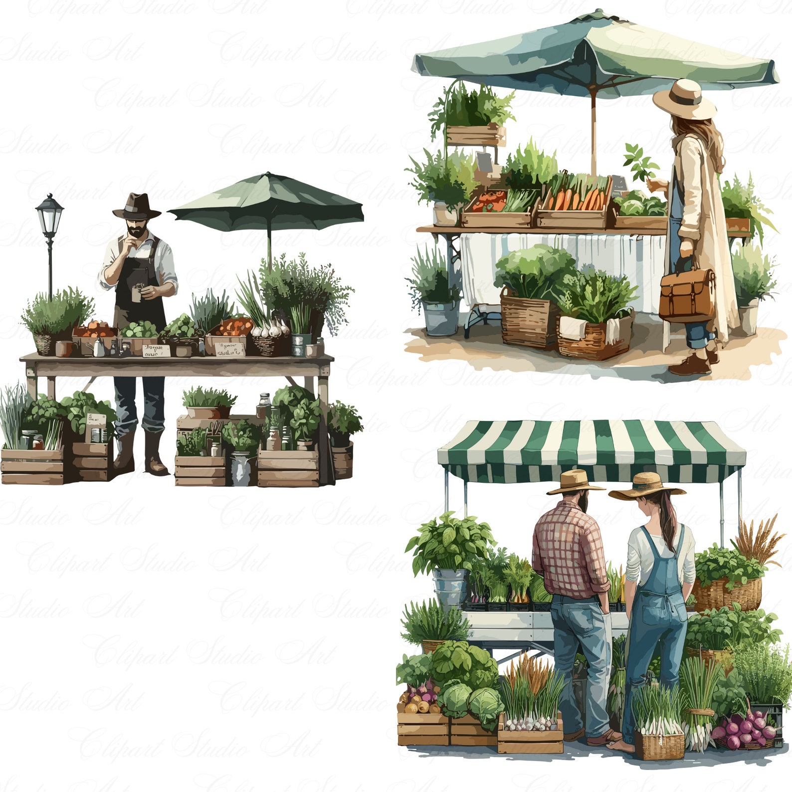 11 Farmers Market Clipart, Watercolor Herbs Stand Clip Art, Watercolor ...