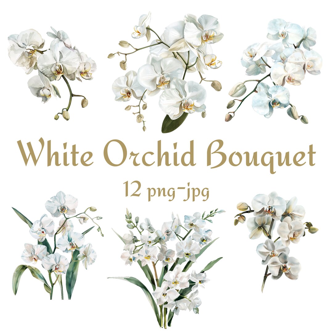 12 White Orchid Bouquet Clipart, Wedding Bridal Shower White Orchid ...